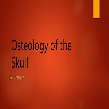 Osteology of the Skull | PPTX