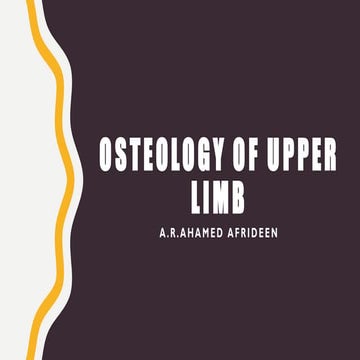 Humerus bone osteology: Upper limb Anatomy | PPTX