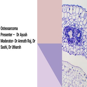 Osteosarcoma.pdf