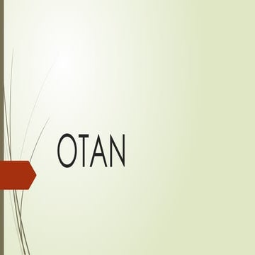 Presentación sobre la OTAN en la Guerra Fria | PPTX