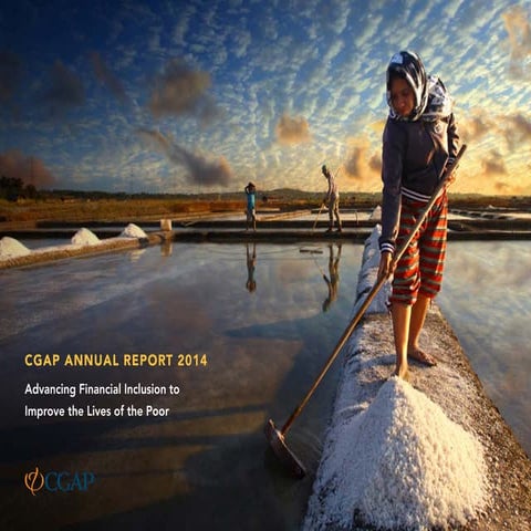Other cgap-2014-annual-report-dec-2014 1 | PDF