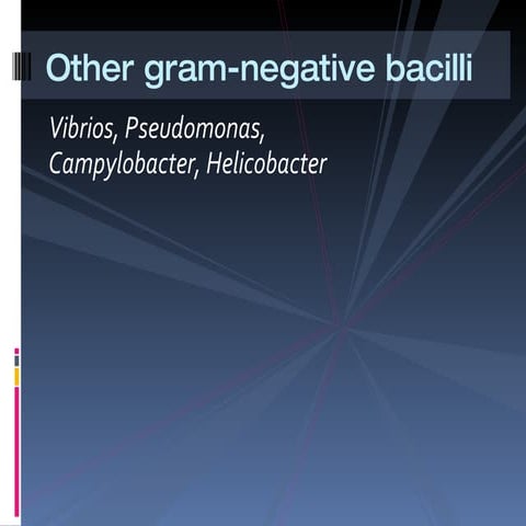 Other Gram Negative Bacilli | PPT