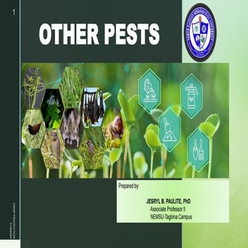OTHER PESTS OF MAJOR CROPS IN THE PHILIPPINES | PPTX