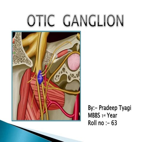otic ganglion.pptx