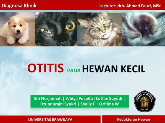 CBD otitis eksterna | PPT