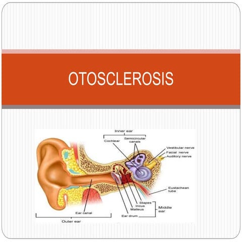 Sensory system, ear,eye anatomy | PDF