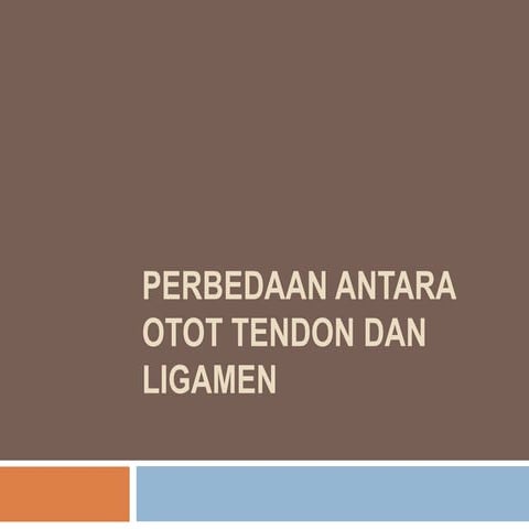 otot Tendon dan Ligamen.pdf
