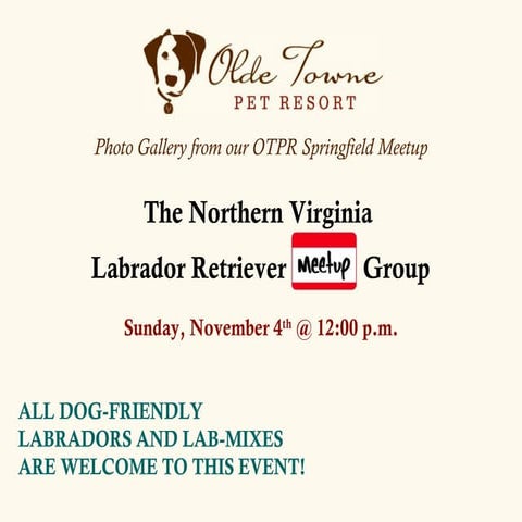 The Northern Virginia Labrador Retriever Meetup @ Olde Towne Pet Resort ...