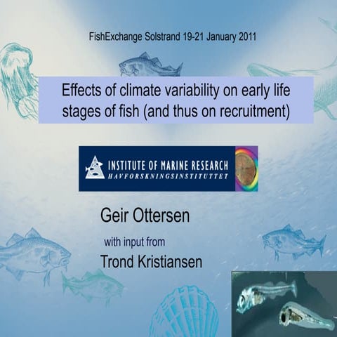 Scientific presentation on climate impacts on fish recruitment | PDF