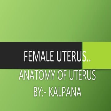Gross Anatomy of Uterus | PPTX