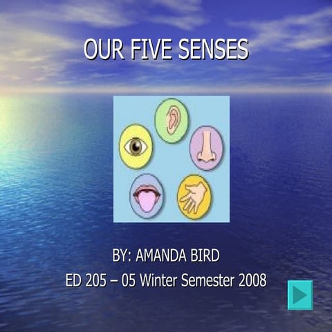 The Five Senses Powerpoint | PPTX