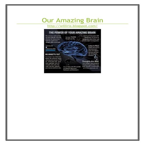 Our Amazing Brain | PDF