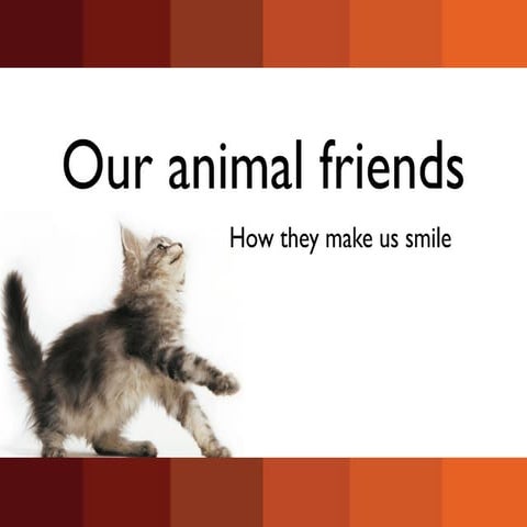 Our animal friends | KEY