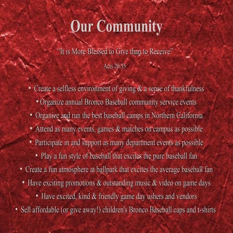 Bronco Baseball Vision | PPT