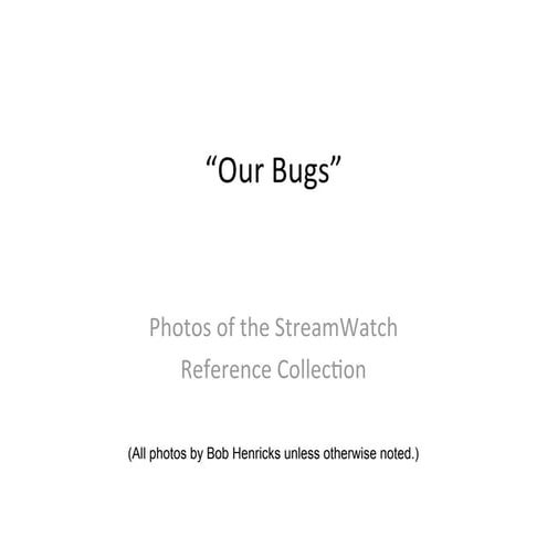 StreamWatch Reference Collection | PDF