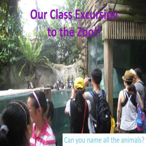 Our class excursion | PPTX