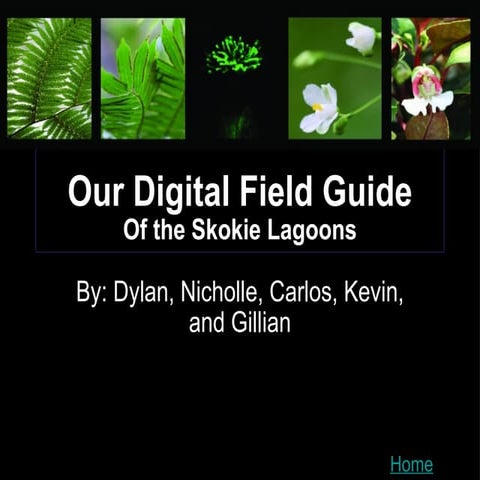Our digital field_guide_video_for_bio_ | PPT
