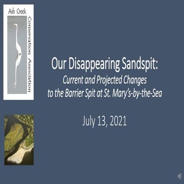 Cumulative Impact of Armoring Reduction | PDF