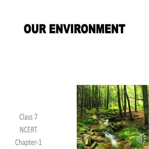 Our environment | PPTX
