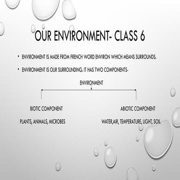 Living Things and their Environment | PDF