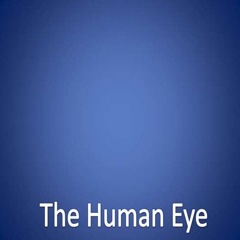 Our eyes ppt edited | PPT