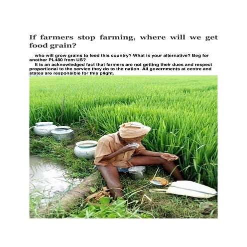 It is high time, we look into the farm sector. | PDF