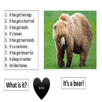 Physical characteristics of animals | PPTX