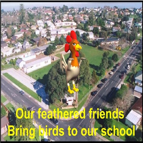 Our feathered friends yr 2 | PPT
