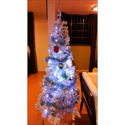 Our first christmas tree | PPT | National & Civic Holidays | Holidays