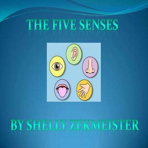 Our five sense’s | PPTX