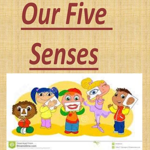 Our five senses | PPTX