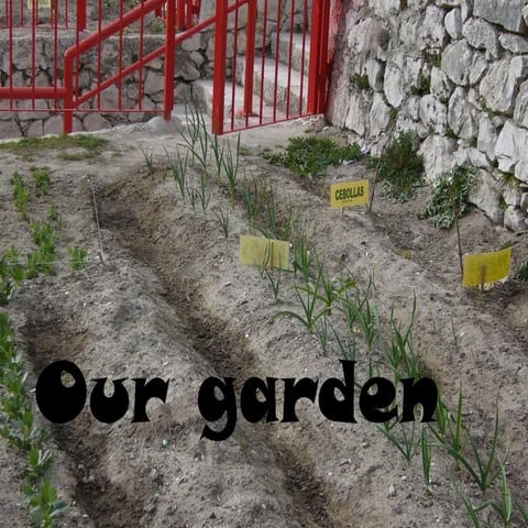 Our garden | PDF