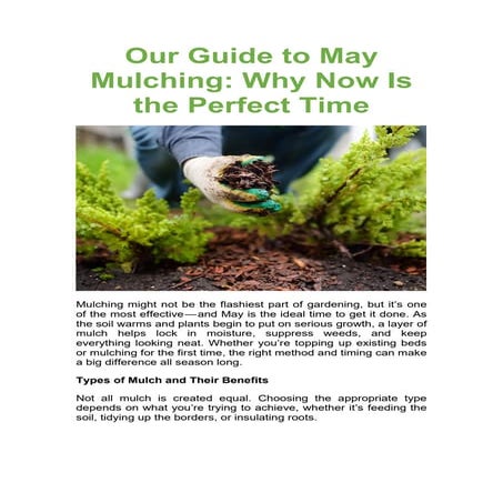 Our Guide to May Mulching: Why Now Is the Perfect Time | PDF