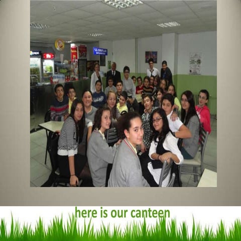 Our school | PPTX