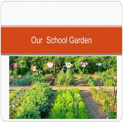 How to set up a school garden - a manual | PPT