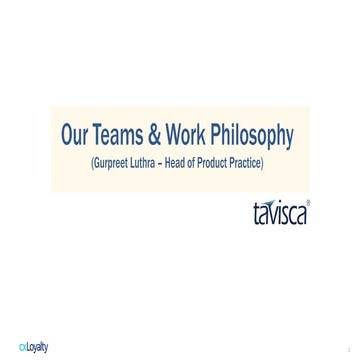 Our Team and Work Philosophy (Tavisca) | PPT
