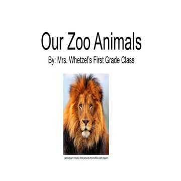 Our zoo animals | PPTX
