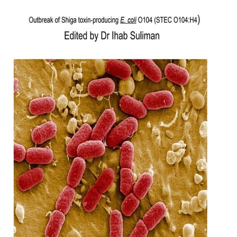 Outbreak of shiga toxin producing e coli | PPT