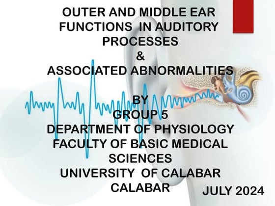 Understanding Ear Anatomy And Physiology Structure Function And The Role Of The Outer Middle