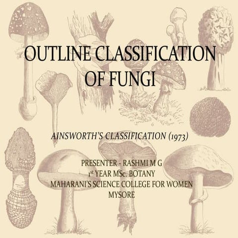 OUTLINE CLASSIFICATION OF FUNGI.pptx