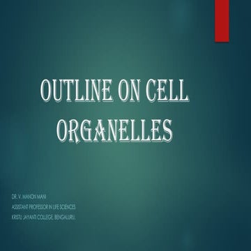 Outline of cell organelles (EUKARYOTES). | PPT