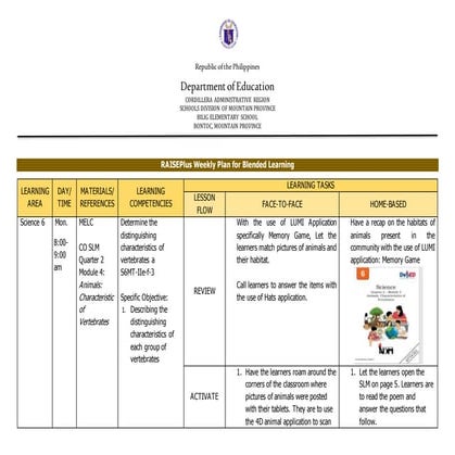 Output RAISEPlan.docx