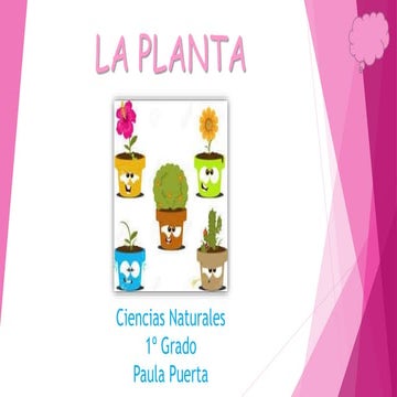 LAS PLANTAS | PPTX