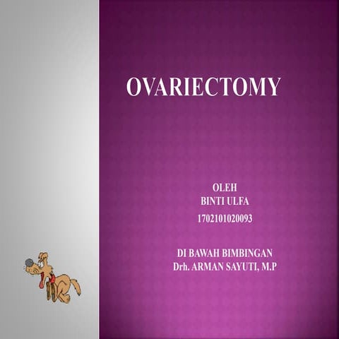 Ovariectomy in dog | PPTX
