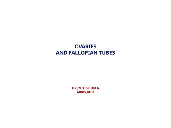 ovary - Anatomy, histology and embryological development of ovary | PPT