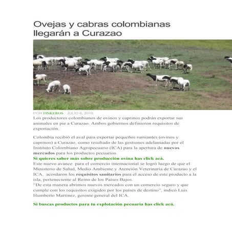 Ovejas y cabras colombianas llegarán a curazao | PDF
