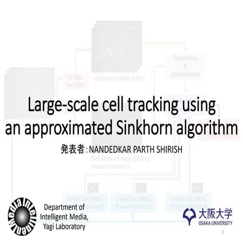 Large Scale Cell Tracking Using An Approximated Sinkhorn Algorithm Ppt
