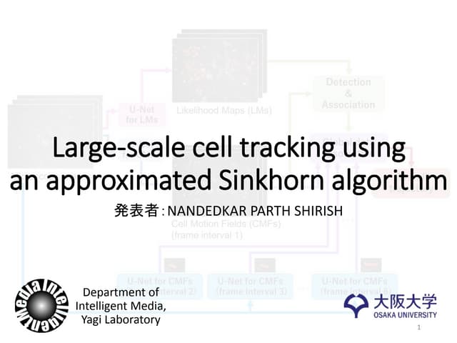 Large Scale Cell Tracking Using An Approximated Sinkhorn Algorithm Ppt
