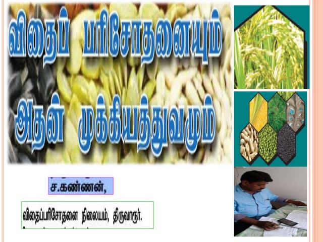 Paddy varietal characters | PDF