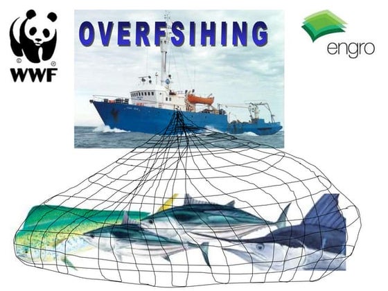 INVASIVE SPECIES and their some examples | PPT